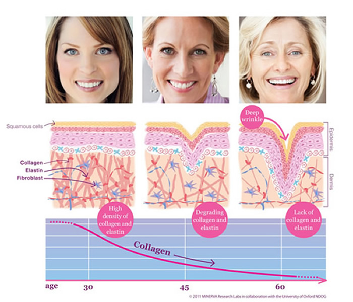 Skin Care, Facial Rejuvenation & Anti-Aging – One Hand Acupuncturist